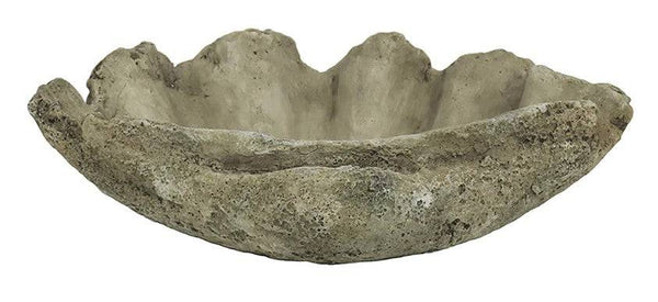 Cast Concrete Clam Shell